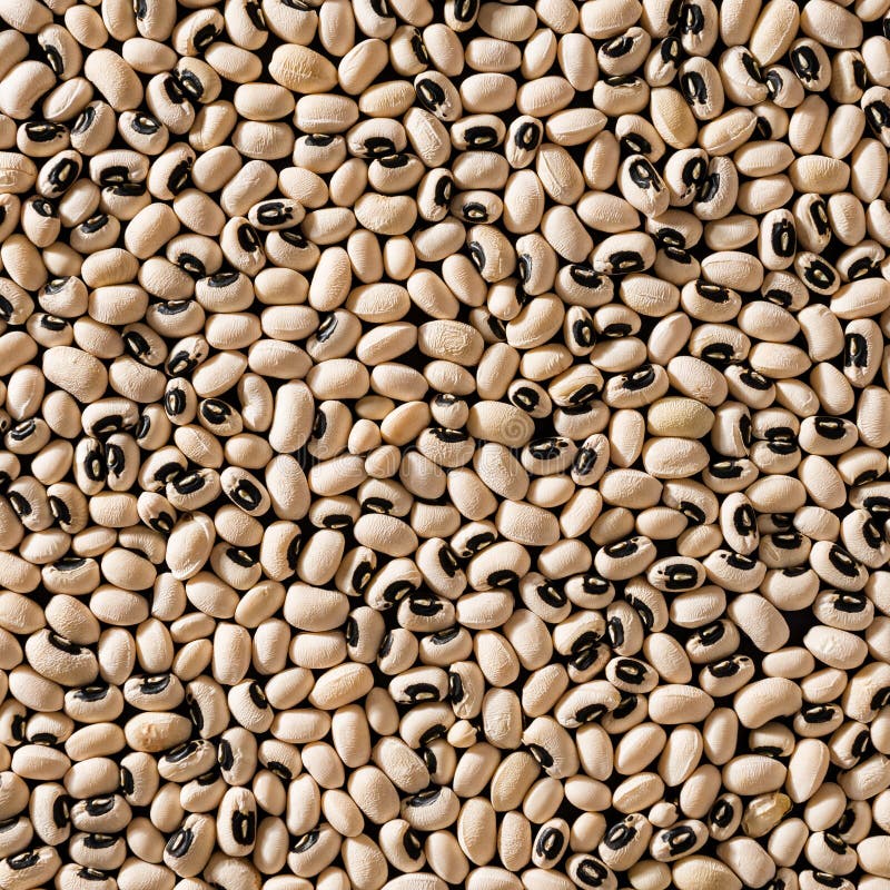 Black eyed peas stock image. Image of fiber, multitude - 26366021