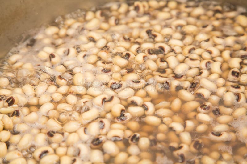 Black-Eyed Peas Boiling stock image. Image of vegetable - 48546673