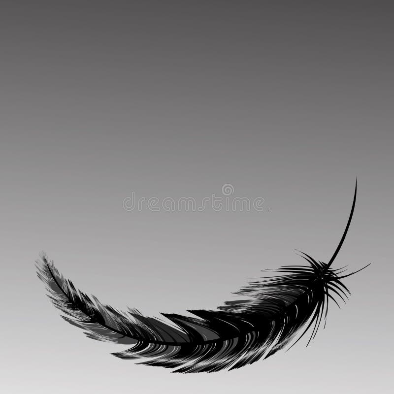 Black Feather Background Stock Illustrations – 83,633 Black Feather ...
