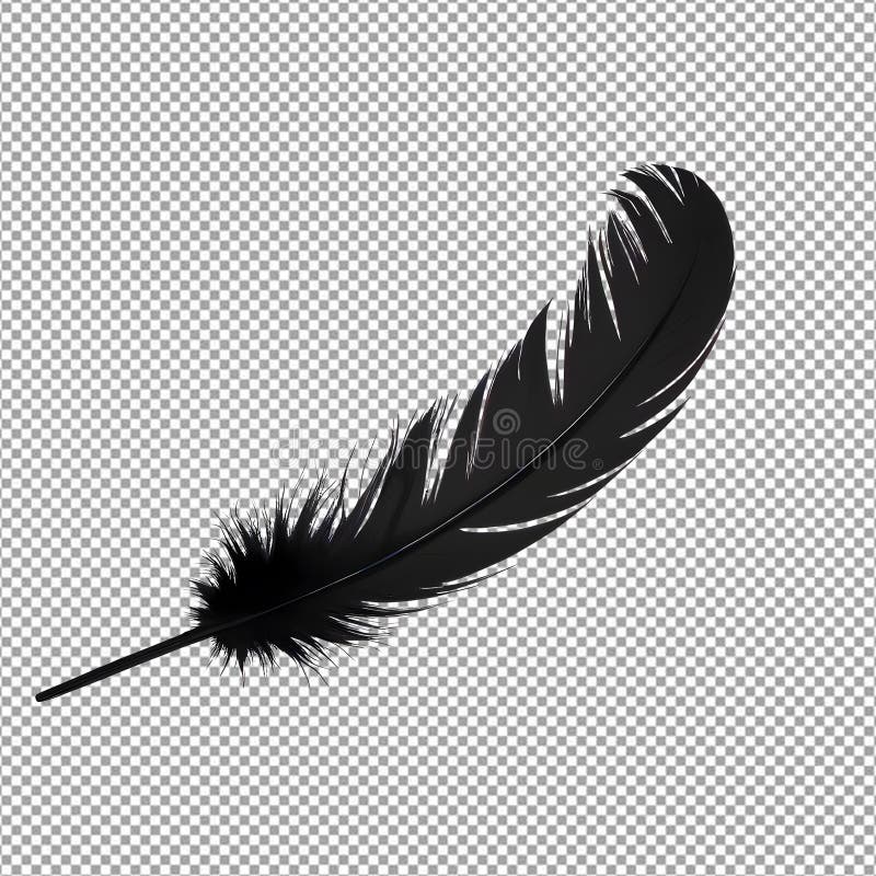 A Black Feather Floating on a Transparent Surface Stock Illustration ...
