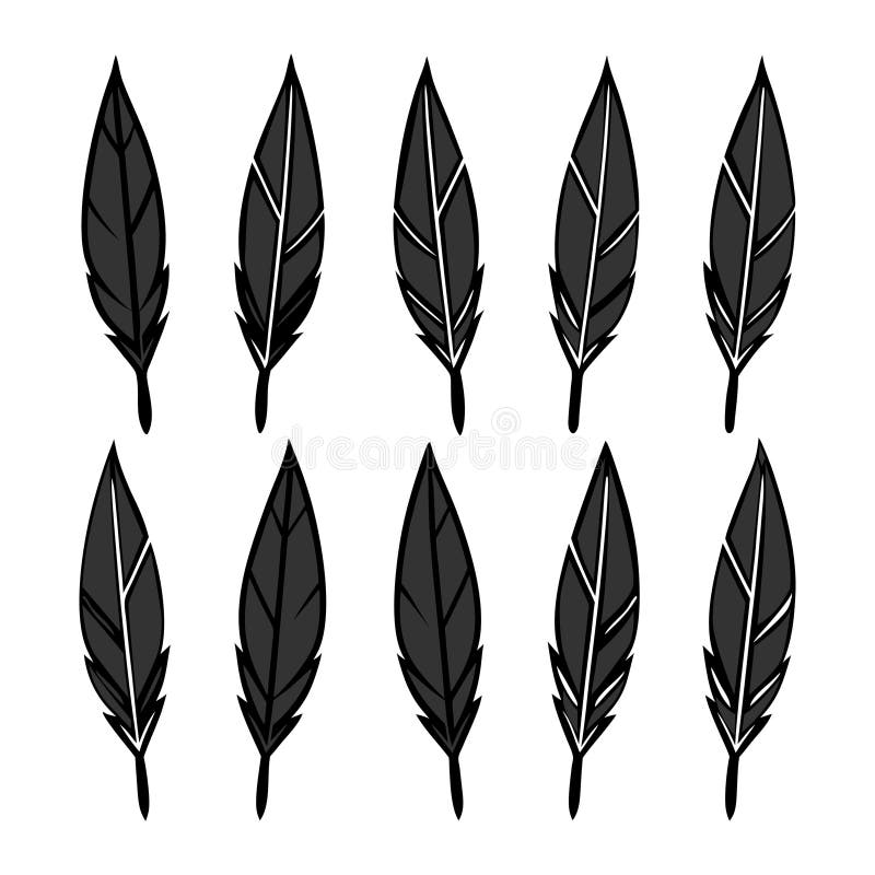 Black Feather Vector Set - Elegant Outline Illustration for Design and ...