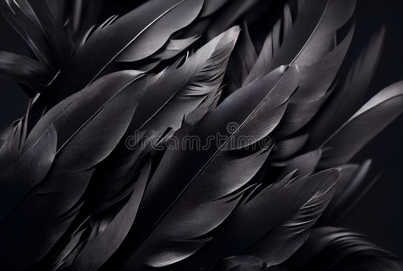 Black Feathers Background, Black Swan Wings Pattern, Abstract ...