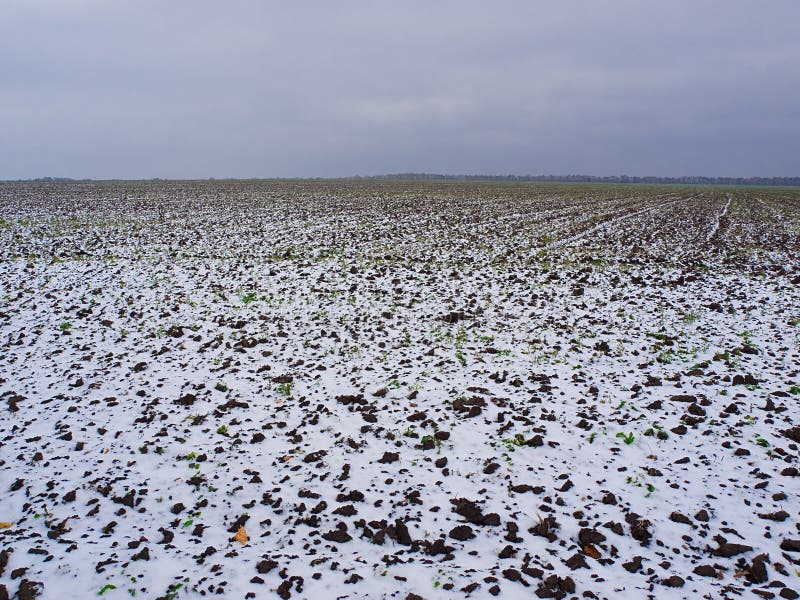 Black Field Covered with White Snow Stock Image - Image of remote ...