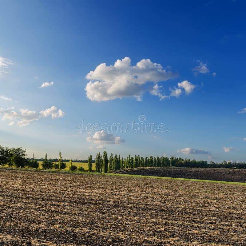Black Field after Harvesting Stock Photo - Image of natural, business ...