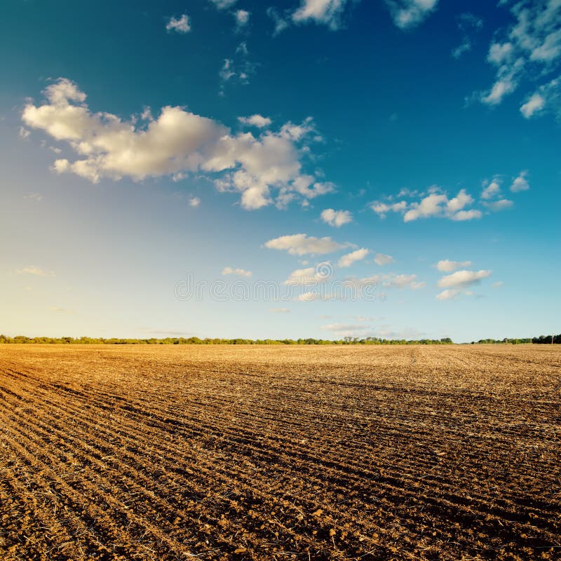 Black Field after Harvesting and Blue Sky Stock Photo - Image of ...