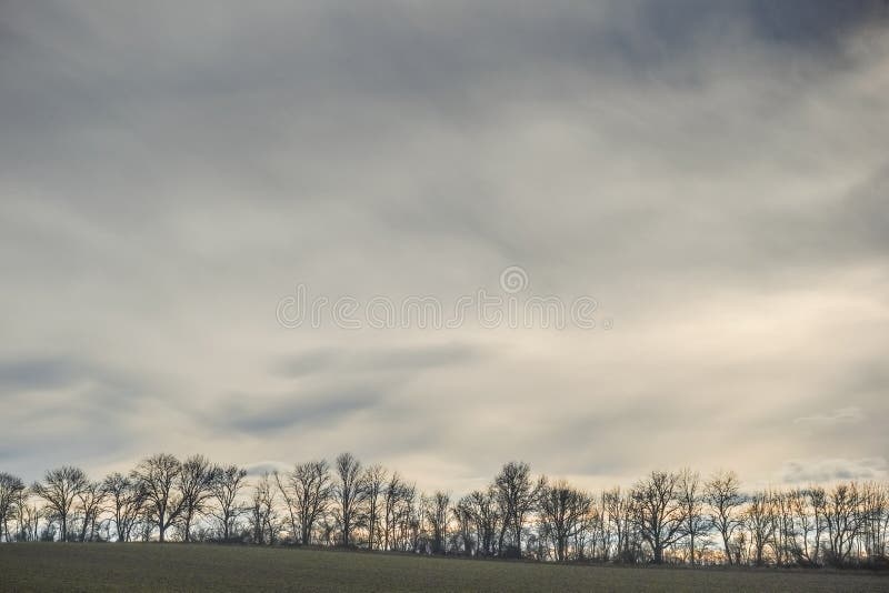 Black Field and Trees with a Dense Gray Sky Stock Image - Image of ...
