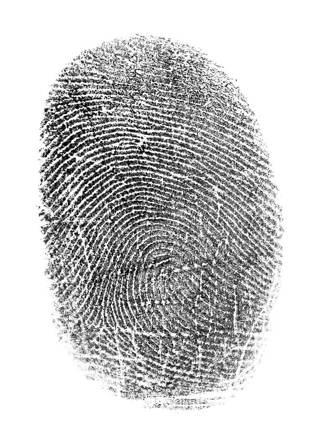 Black Fingerprint Isolated on White Stock Illustration - Illustration ...