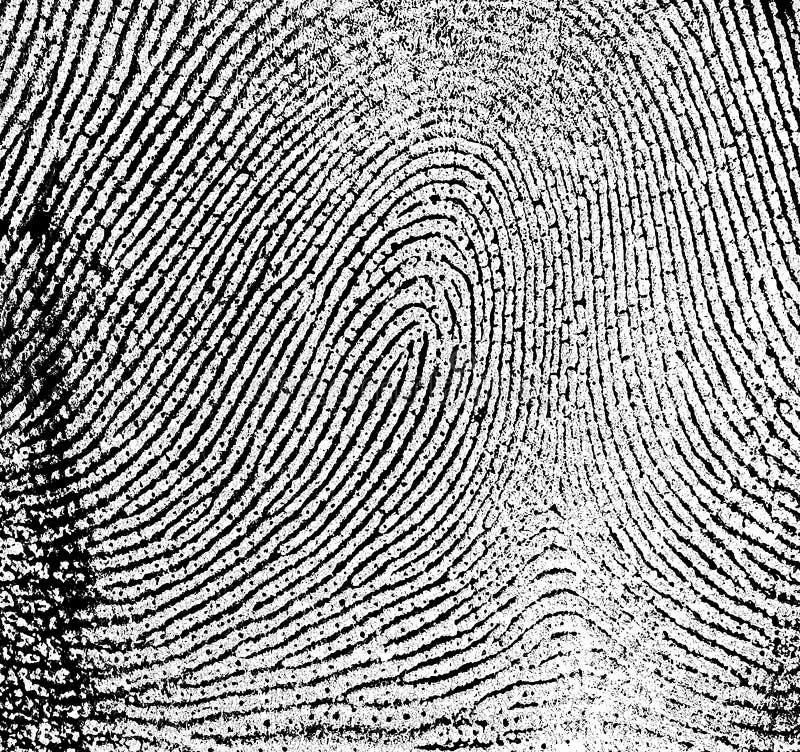 Black Ink Fingerprint on Red Background. Human Fingerprint. Criminal ... Black Ink Fingerprint on Red Background. Human Fingerprint. Criminal ...