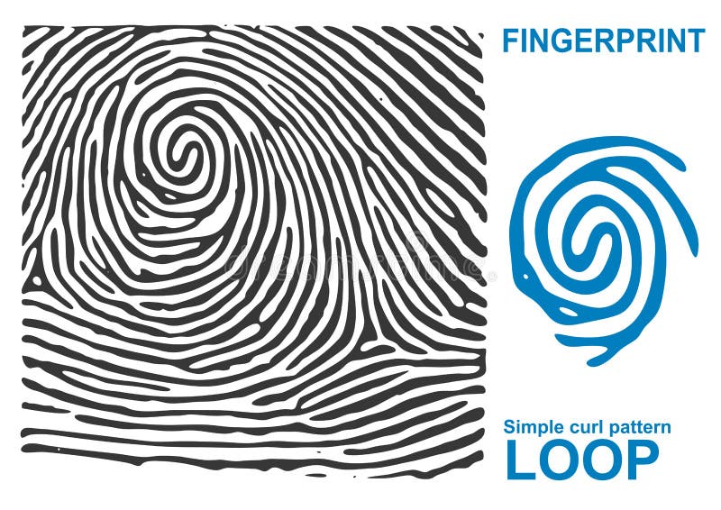 Black Fingerprint Shape Secure. Identification ID Finger Stock Vector ...