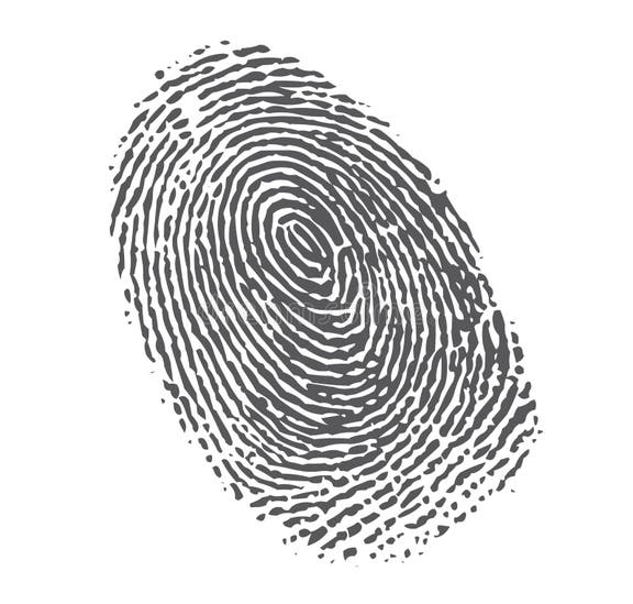 Fingerprint Loop Stock Illustrations – 935 Fingerprint Loop Stock ...