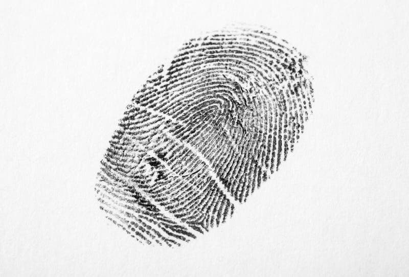 Black Fingerprint on White. Friction Ridge Pattern Stock Image - Image ...
