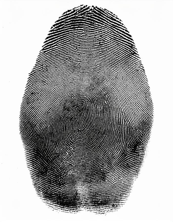 Black Fingerprint on White. Biometric Identification for Forensic ...
