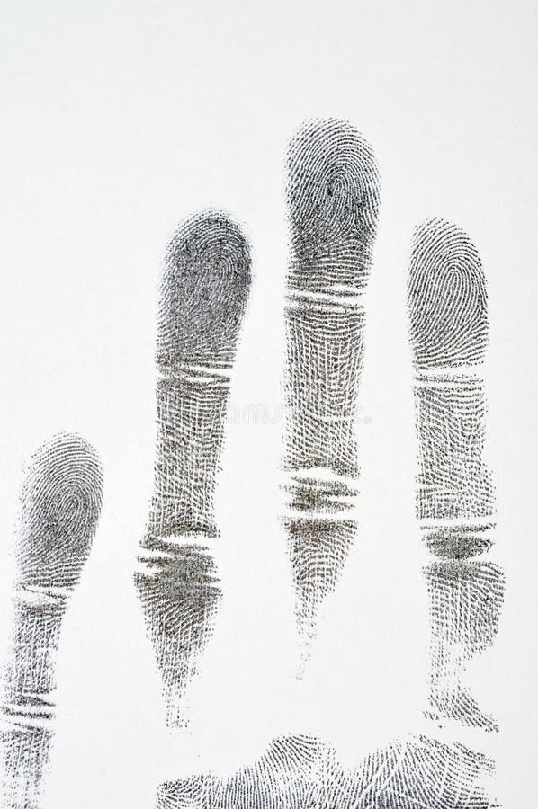 Black Fingerprint on White Paper Stock Photo - Image of coding ...