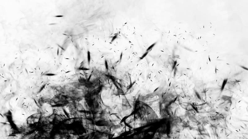 Black Fire on Isolated Background with Smoke Particles. Texture ...