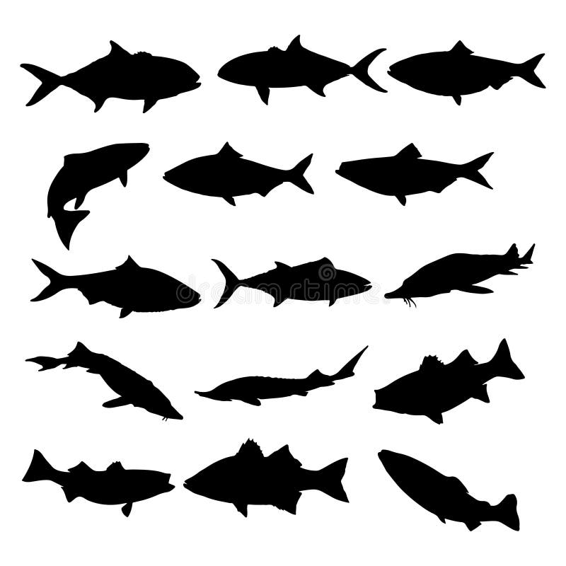 Black Fish Silhouette Vector Art,icons and Graphics. Stock Vector ... Black Fish Silhouette Vector Art,icons and Graphics. Stock Vector ...