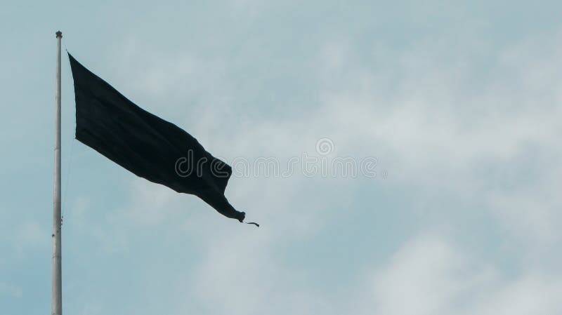 Black Flag Raised in Tehran Stock Image - Image of beak, flight: 259460759