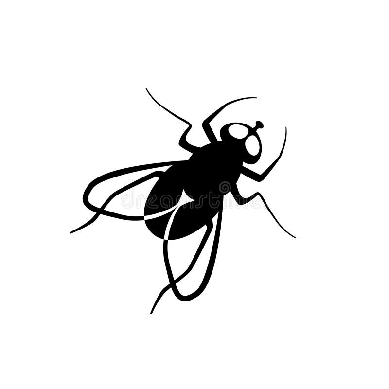 Angry little fly. stock vector. Illustration of white - 134500867