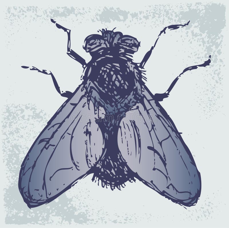 Hum Simple Stock Illustrations – 48 Hum Simple Stock Illustrations ...