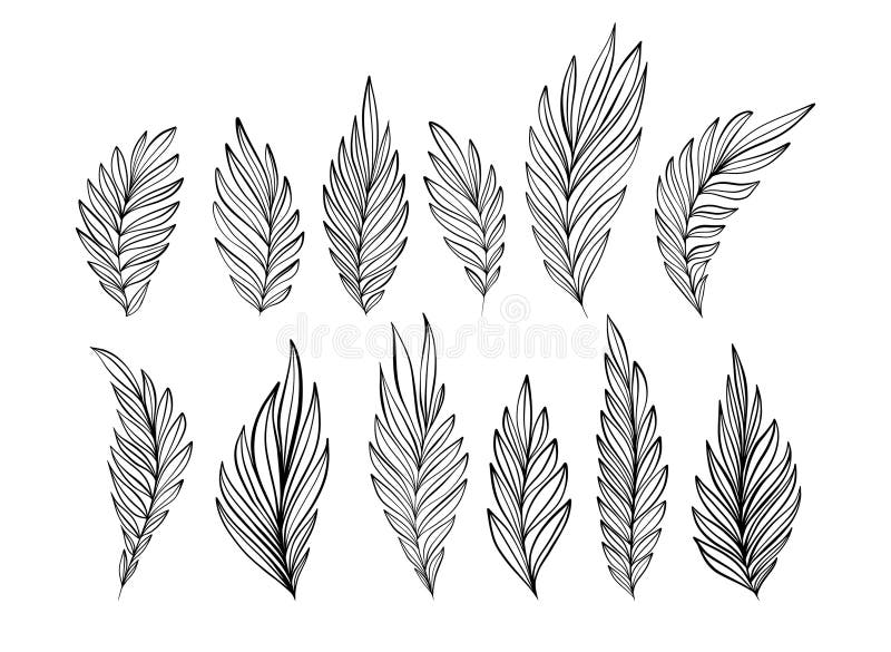 Black Flowing Leaves Vector Outline Collection Isolated on White ...
