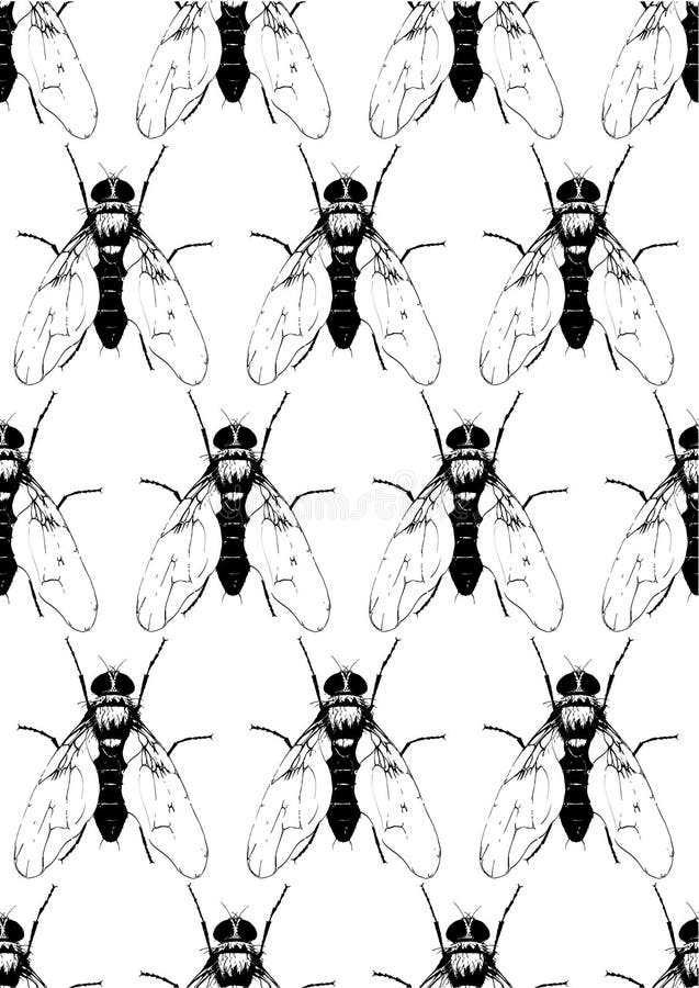 Seamless Pattern with Black Flies Stock Illustration - Illustration of ...