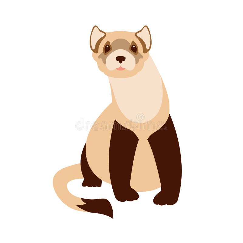 Ferret Stock Illustrations – 3,347 Ferret Stock Illustrations, Vectors ...