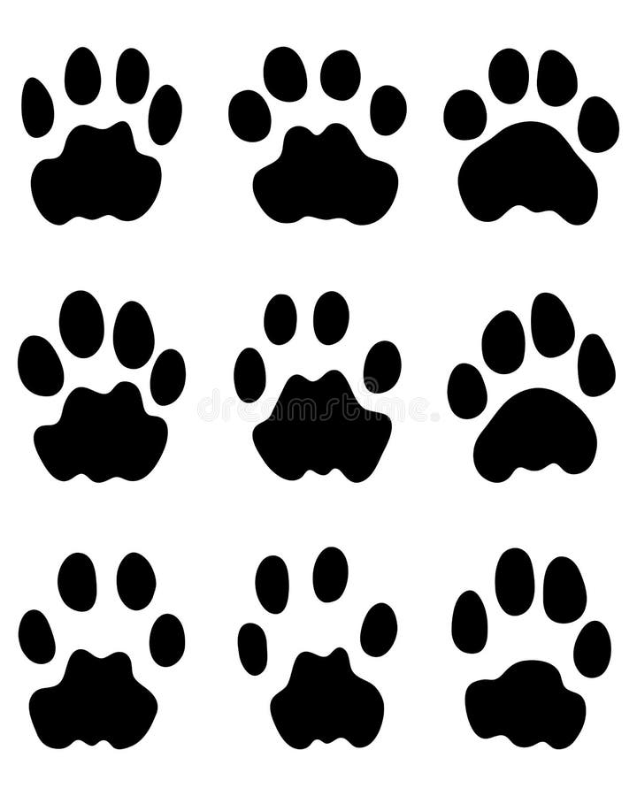 Leopard Footprints Stock Illustrations – 181 Leopard Footprints Stock ...