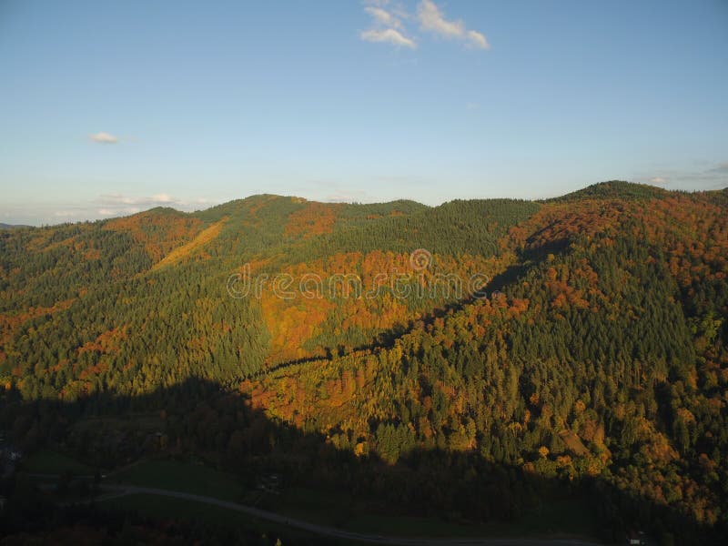 Black forest at autumn stock image. Image of fall, geography - 271788443