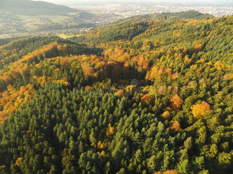 Black forest at autumn stock photo. Image of autumnal - 81546098