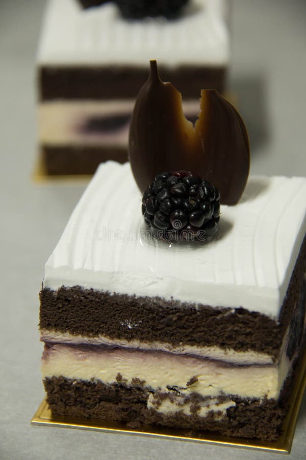 Black Forest Cake Pastry Bakery Stock Image - Image of brown, treat ...