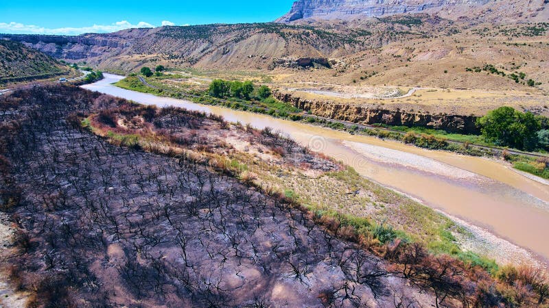 Black Forest after Forest Fire by River and Mountains Stock Photo ...