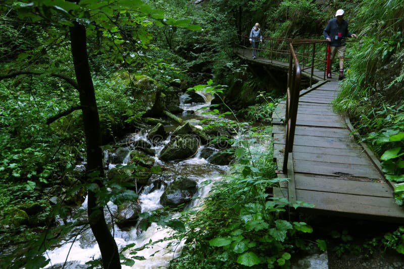 Black Forest Germany Hike editorial photo. Image of railing - 90188336