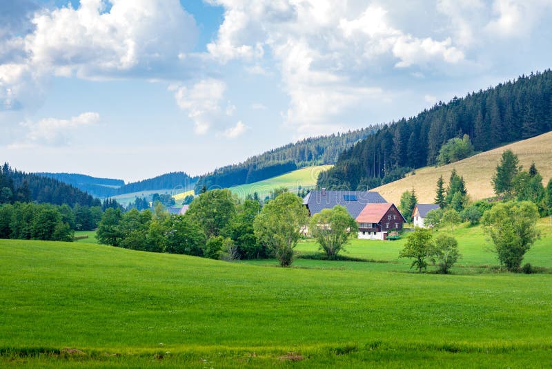 Black Forest Park Path Background Stock Photo - Image of backgound ...