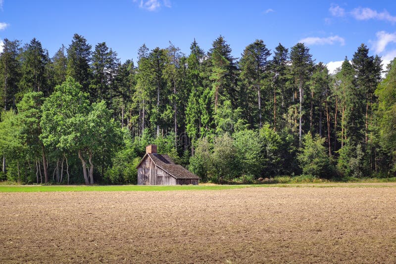 Black Forest Scenery with Wooden Hut Stock Image - Image of woods ...