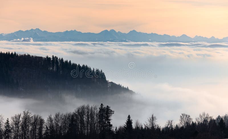 Black Forest Valley View with Alps. Germany Stock Photo - Image of ...