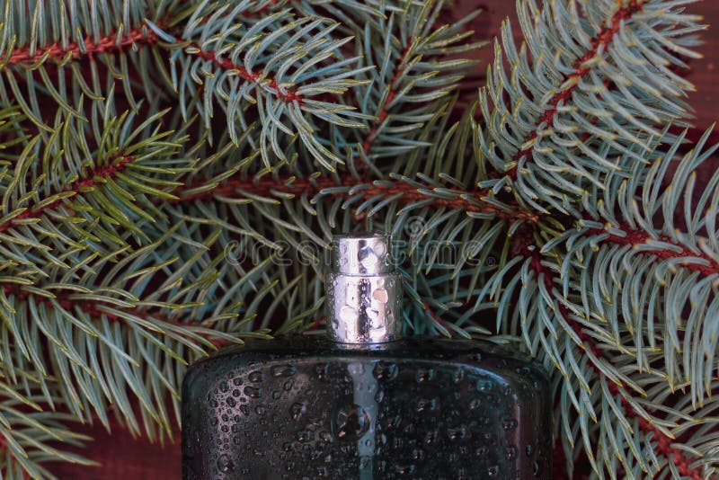 Black Fragrance Bottle for Men on the Prickly Green Branches of a ...