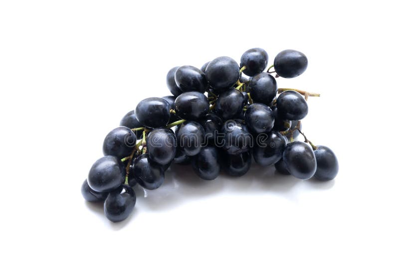 Black Fresh Grapes Cluster in White Background Stock Image - Image of ...