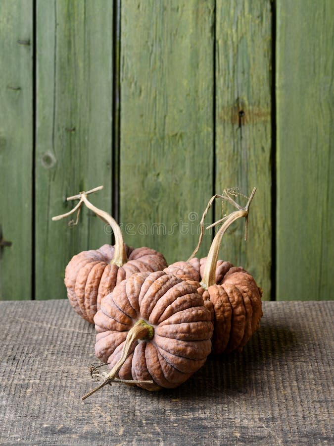 Black Futsu or Futsu Kurokawa Squash Stock Image - Image of crop, space ...