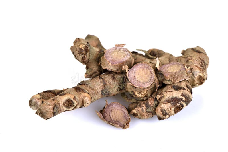 Black Galingale; Rhizomes Herbs. Stock Photo - Image of extracts ...