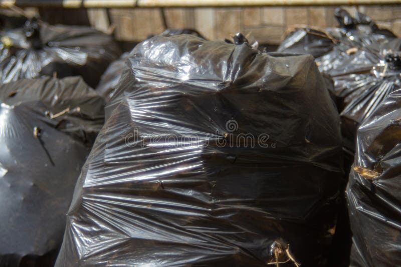Black Garbage Bags. Garbage in Bags Stock Image - Image of temple ...