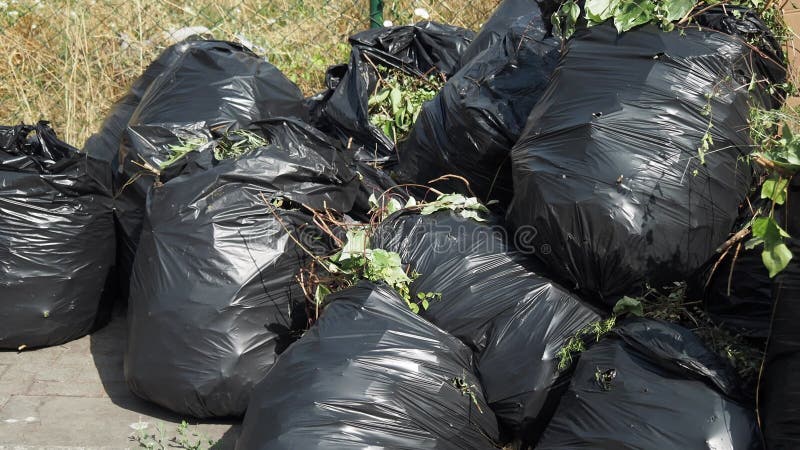 Black Garbage Bags Stack on a Park Stock Video - Video of junk, group ...