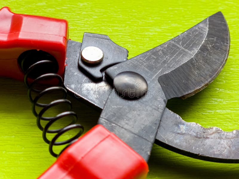 Black Garden Pruner with Red Handles Stock Image - Image of stands ...