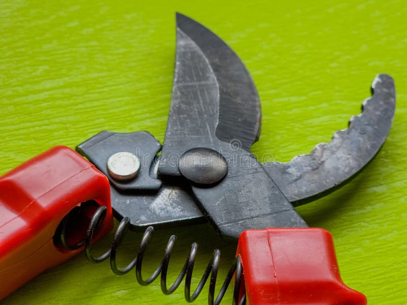 Black Garden Pruner with Red Handles Stock Photo - Image of handles ...