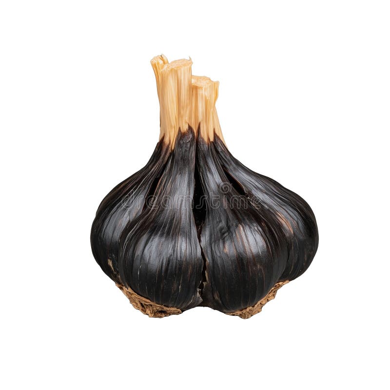 Black Garlic Bulb Unique Texture Shape Transparent Background Stock ...