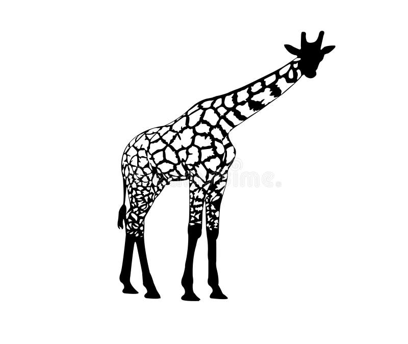 Black Giraffe Vector Illustration Black and White Stock Vector ...