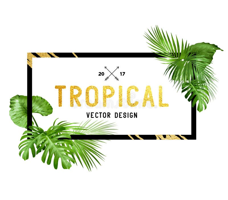 Tropical Palm Leaf Border Vector Stock Vector - Illustration of hand ...