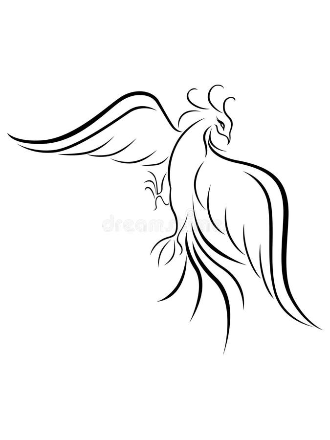 Black Graceful Firebird Contour Stock Vector - Illustration of ...