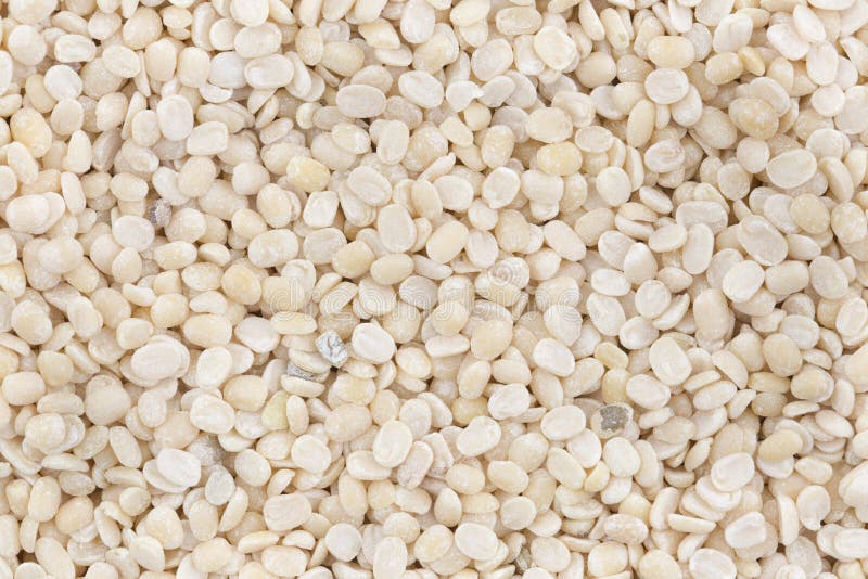 Urad Dal or Split Black Gram Stock Photo - Image of divided, india ...