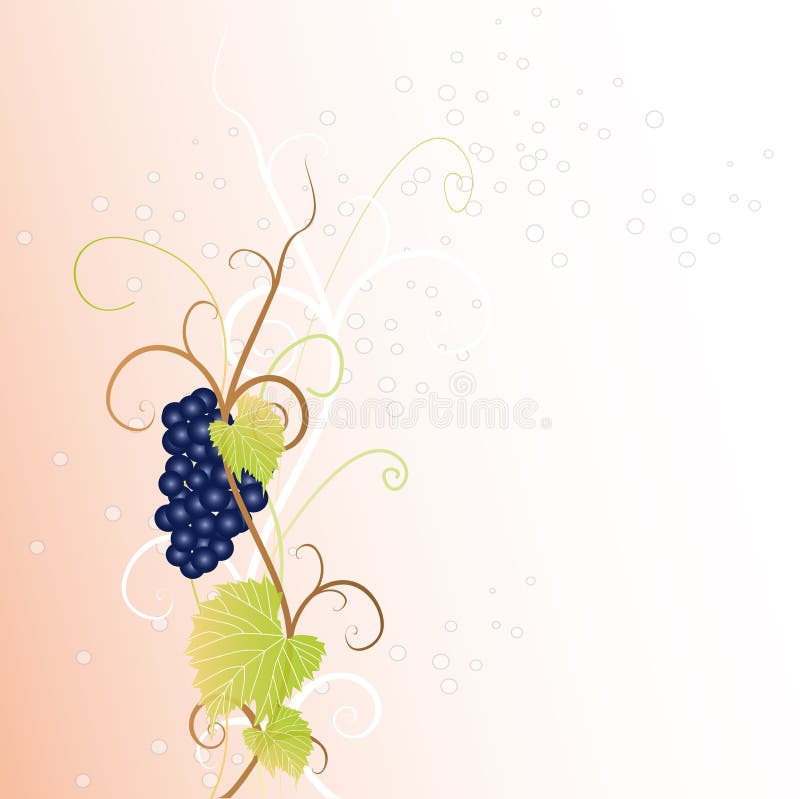 Black Grape Leaves and Vines in Vintage Style Stock Vector ...