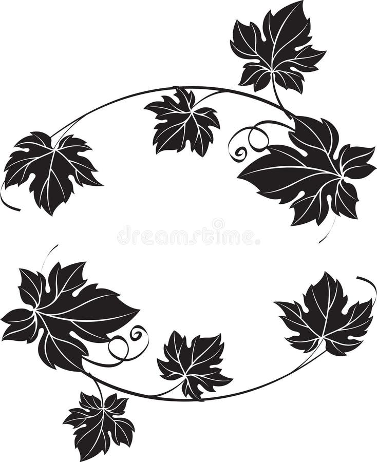 Black Grape Leaves and Vines in Vintage Style Stock Vector - Illustration of decoration, design ...