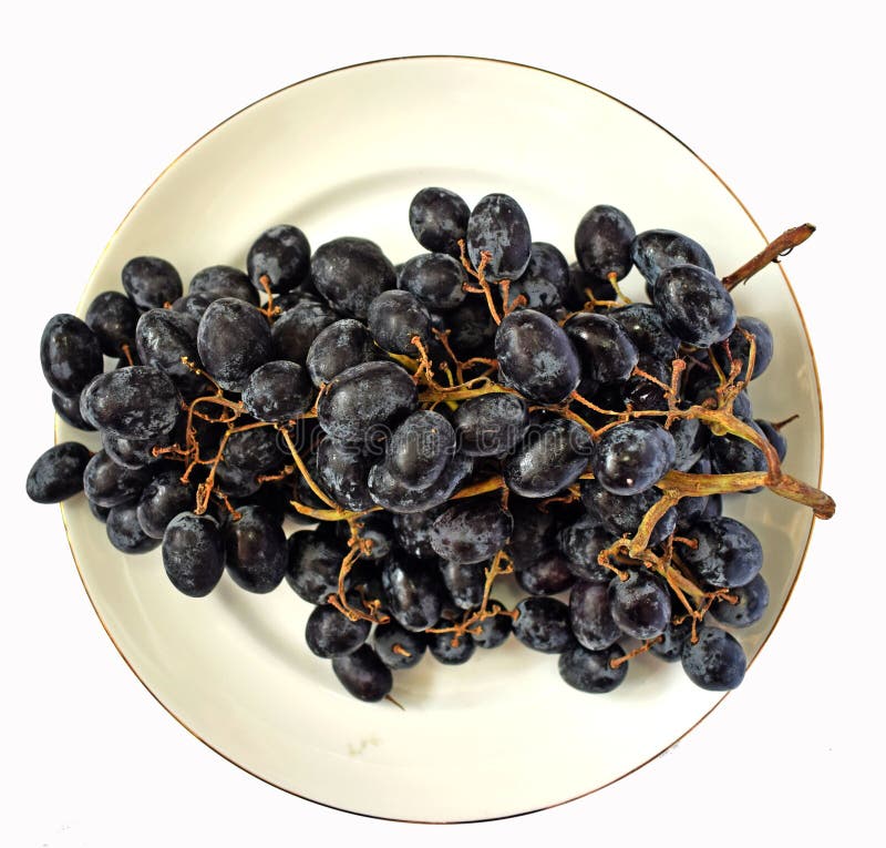 The Black grape stock image. Image of snack, flower - 262684985